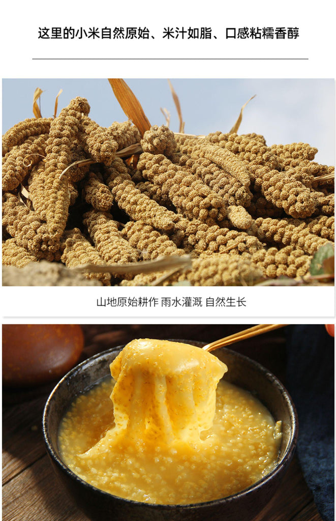 Shaanxi rice fat millet 2022 new millet porridge yellow millet Shaanbe ...